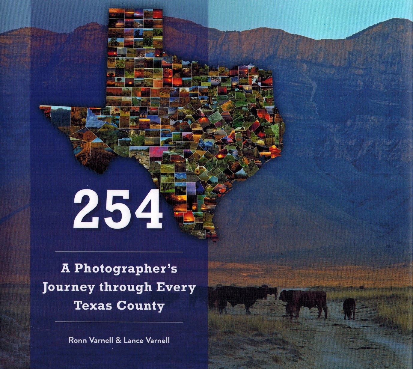 "254," Willie and other new arrivals. | Texas Star Trading