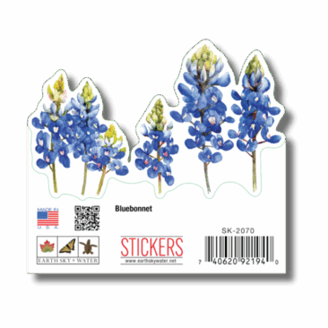 Sticker, Texas Bluebonnets | Texas Star Trading